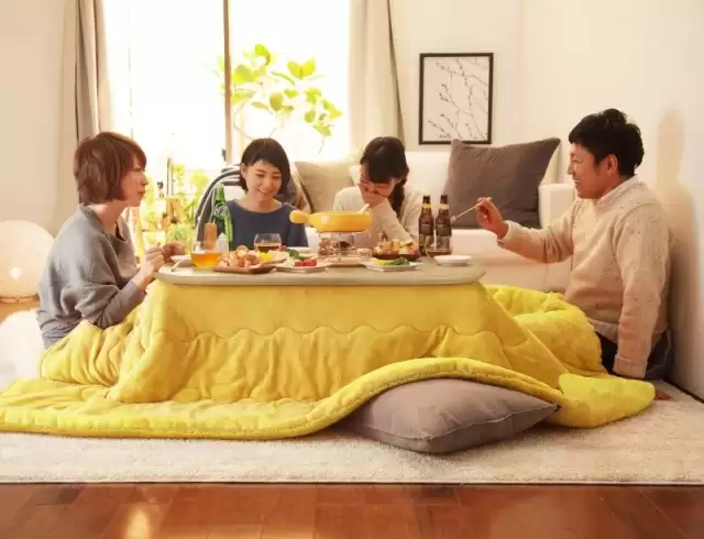 Досвід японців для холодної погоди гріємося без опалення Читайте на Ukr Net